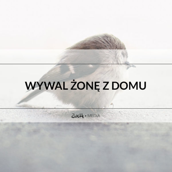 blog - ZUCH Jak być facetem: tatą, mężem i geekiem naraz blog i komiksy